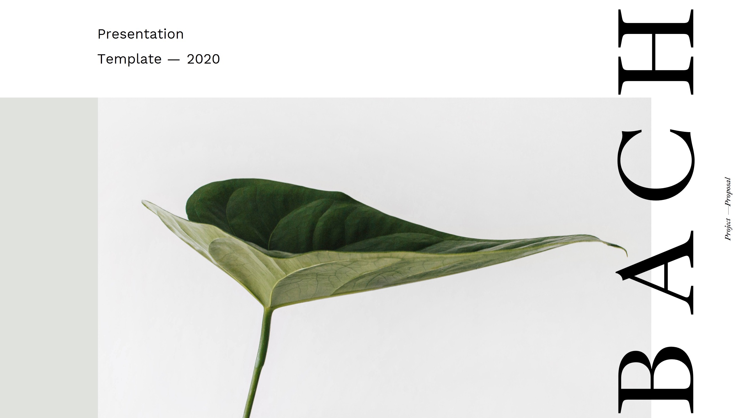 Bach Google Slides by visuelcolonie | GraphicRiver