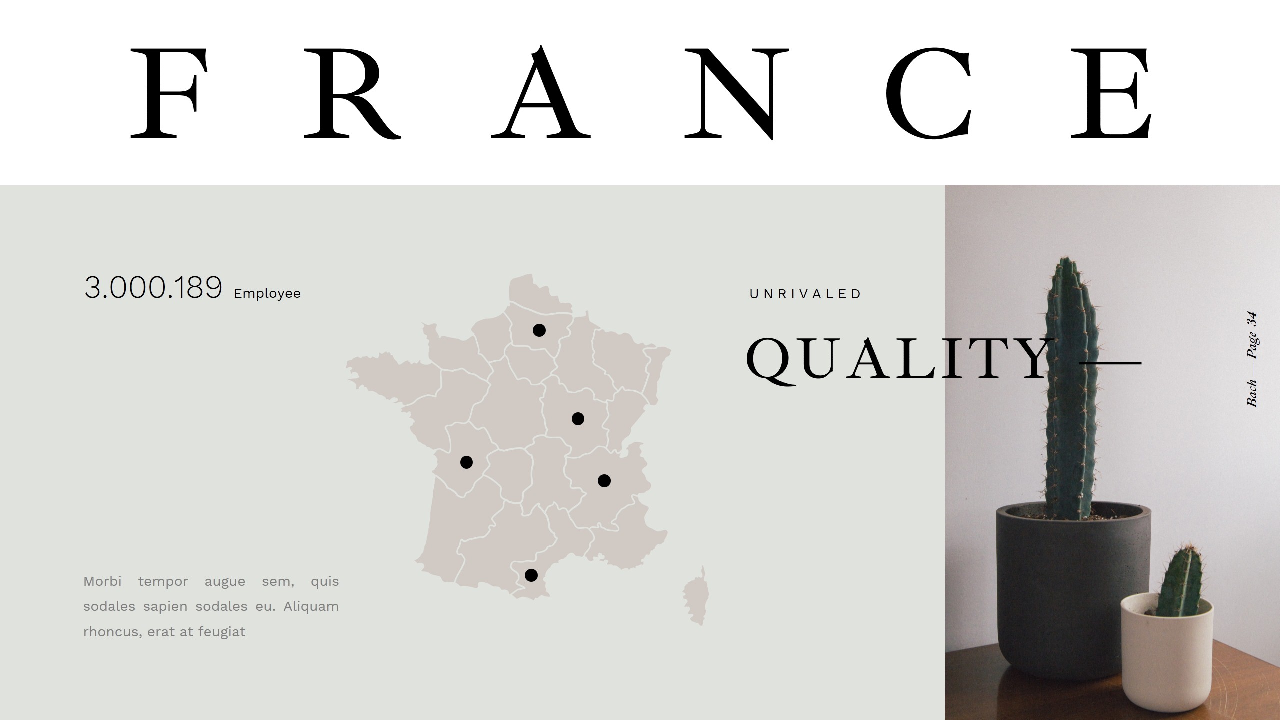 Bach Google Slides, Presentation Templates | GraphicRiver