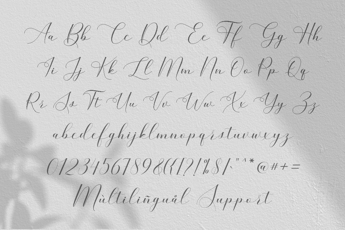 Belgiana Script, Fonts | GraphicRiver