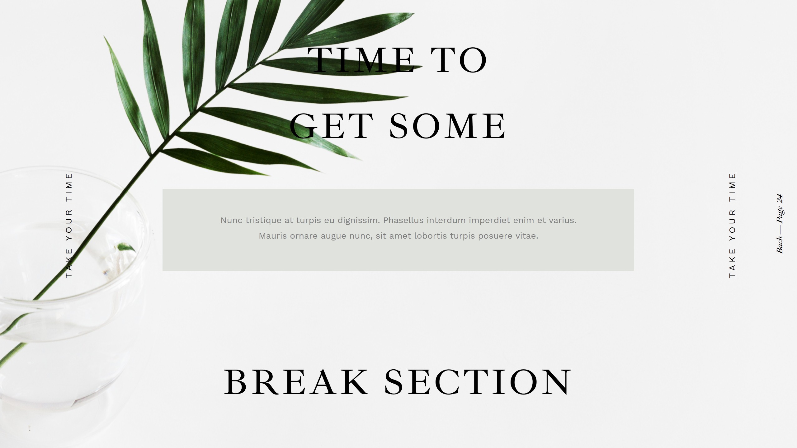 Bach Keynote, Presentation Templates | GraphicRiver