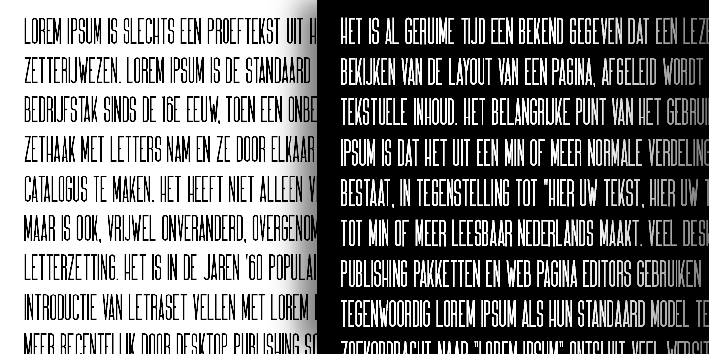 Freya Font Family, Fonts | GraphicRiver