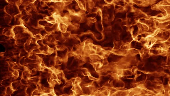 Cloth Reveal 4K by ninjapoy | VideoHive