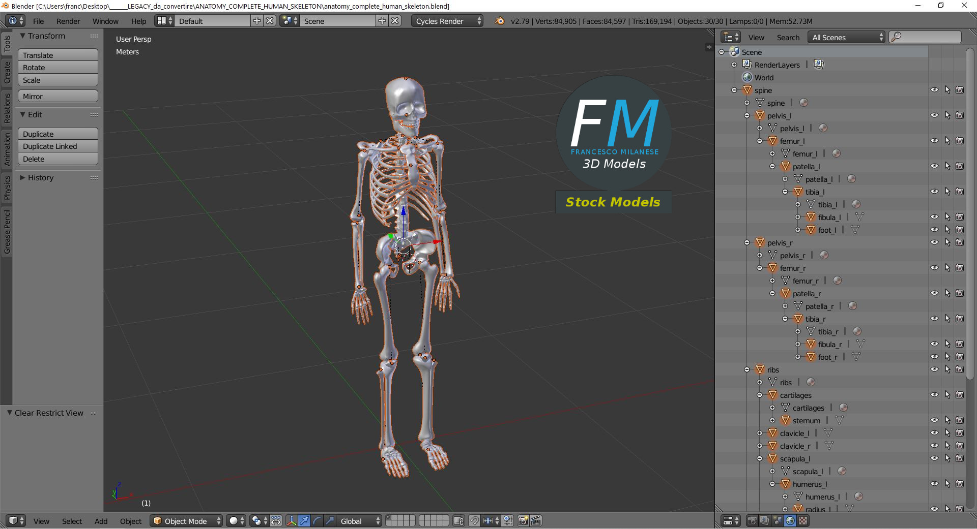 Anatomy - Complete human skeleton by FrancescoMilanese85 | 3DOcean