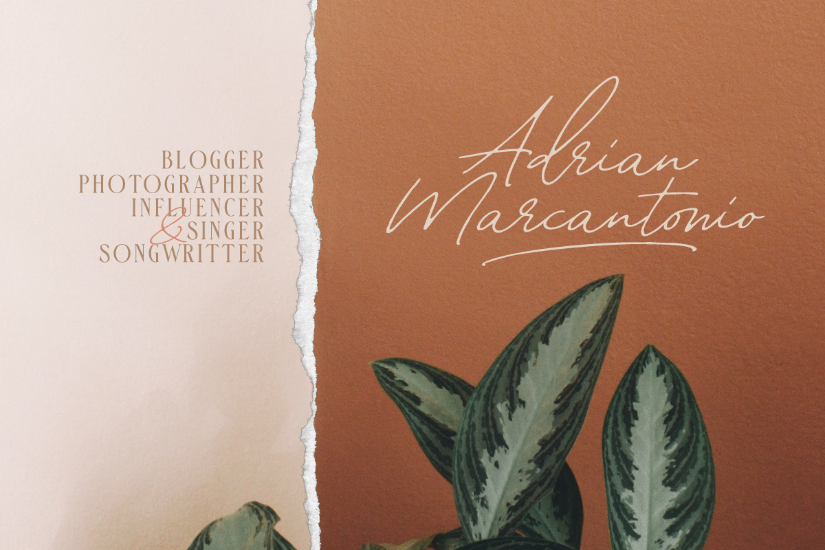 William Letter Signature Script, Fonts | GraphicRiver