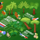 Isometric Jungle Flowchart Composition, Vectors | GraphicRiver