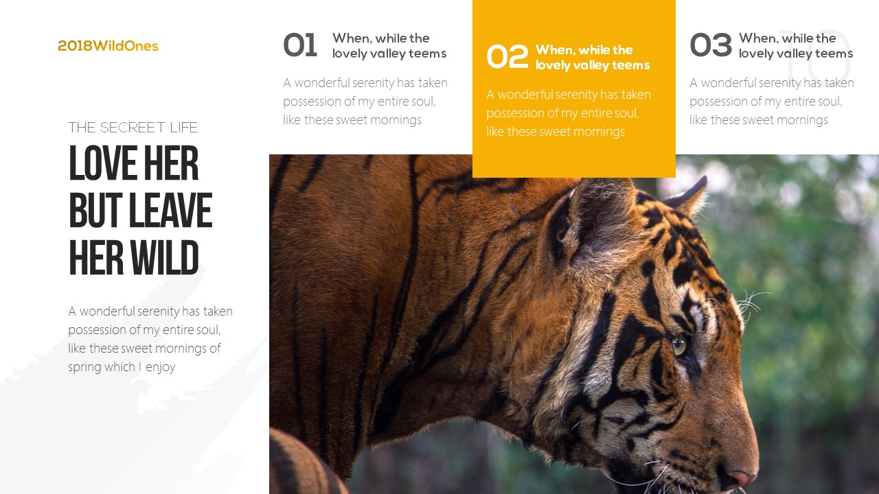 Wildones Nature & Wildlife Keynote Presentation Template, Presentation ...