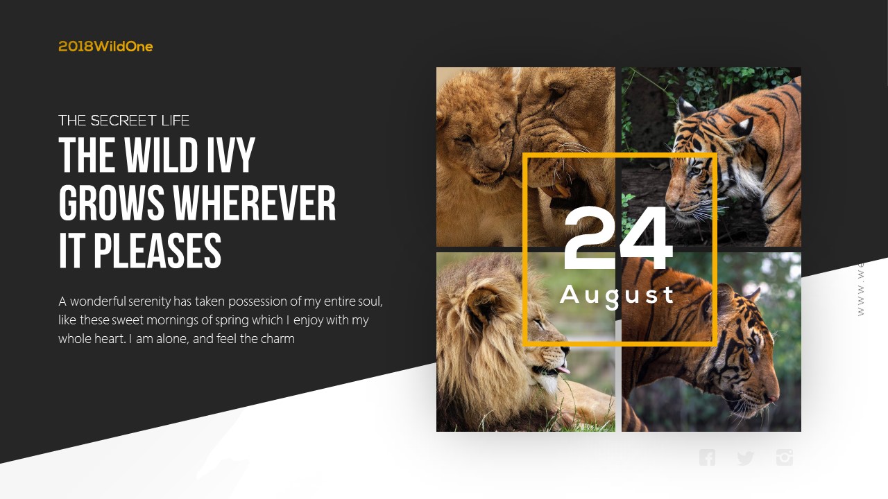 Wildones Nature & Wildlife Keynote Presentation Template, Presentation ...
