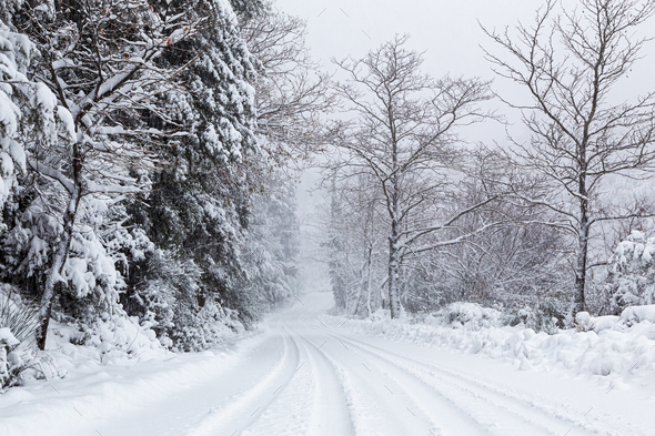 SnowScape Stock Photo by Bionick1234 | PhotoDune