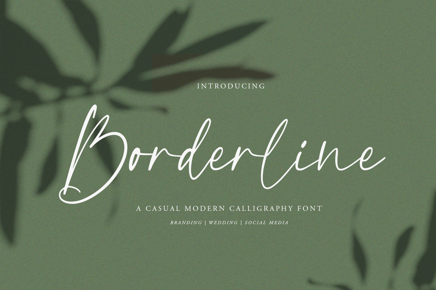 Borderline Calligraphy Font, Fonts | GraphicRiver