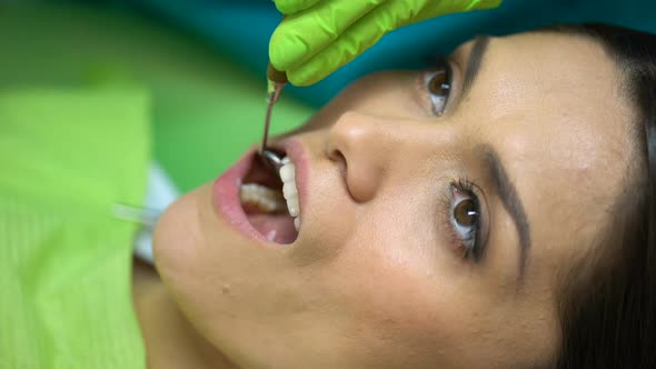 Stomatologist Puts Cotton Ball Near Sick Tooth, Isolation From Saliva ...