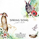 Spring song. Graphic collection, Graphics | GraphicRiver