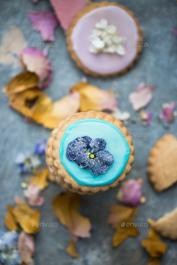 Homemade Biscuits covered with Pastel Color Icing Stock Photo by Manuta