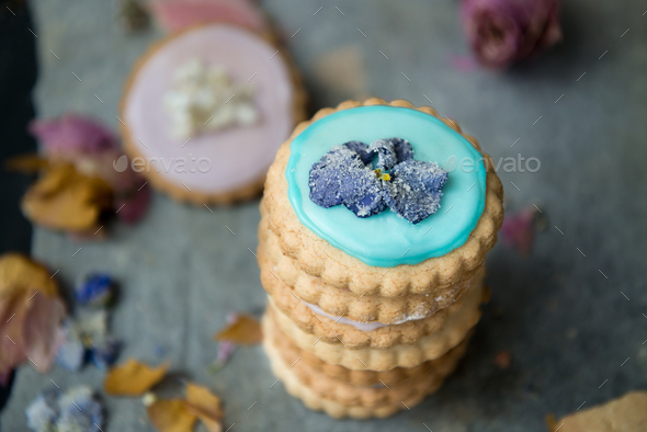 Homemade Biscuits covered with Pastel Color Icing Stock Photo by Manuta
