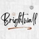 Brightwall - Brush Signature, Fonts | GraphicRiver