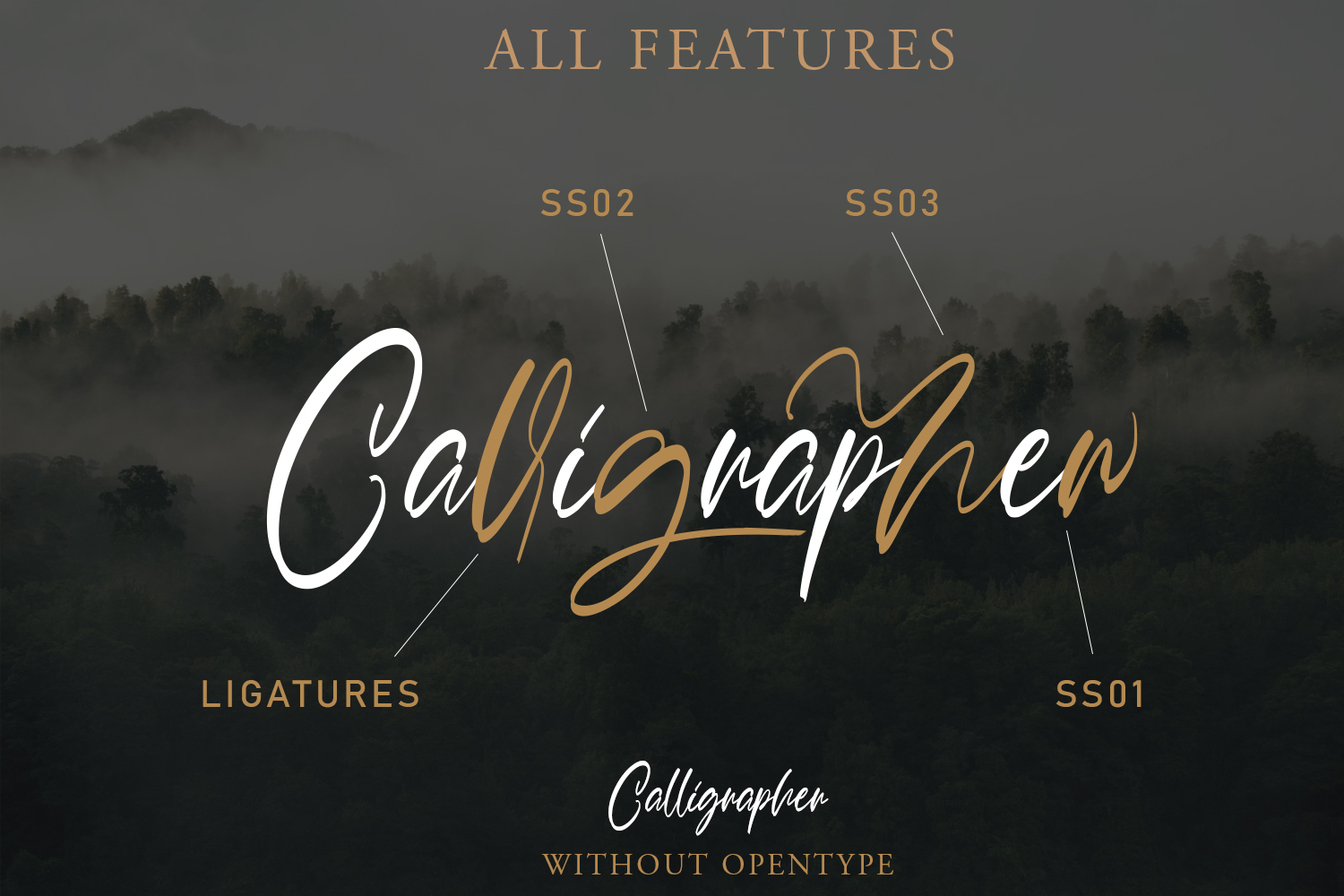 Calligrapher Modern Script Font, Fonts | GraphicRiver