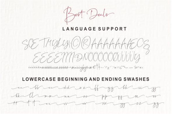 Best Deals | Signature Typeface, Fonts | GraphicRiver