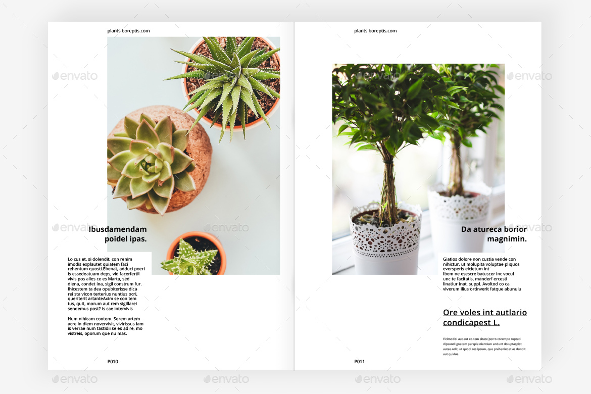 Indoor Plants - A Magazine Template, Print Templates | GraphicRiver