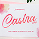 Casira Script, Fonts | GraphicRiver