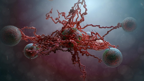Cancer Cell Growth II Shot 01, Motion Graphics | VideoHive