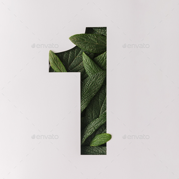 Number one shape cutout with green leaves. Nature concept. Flat lay ...