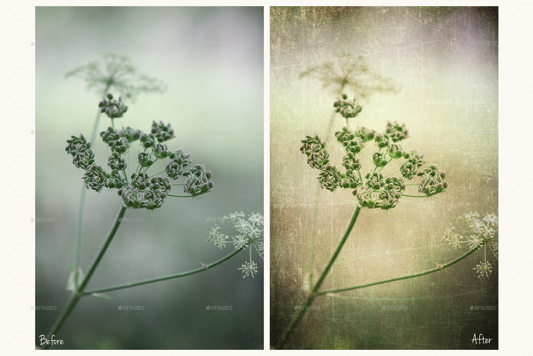 Fine Art Texture Photoshop Overlays 5, Textures | GraphicRiver