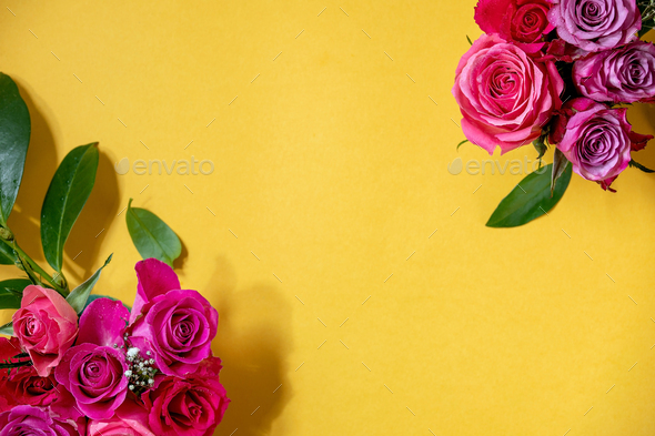 Creative layout roses flowers Stock Photo by NatashaBreen | PhotoDune
