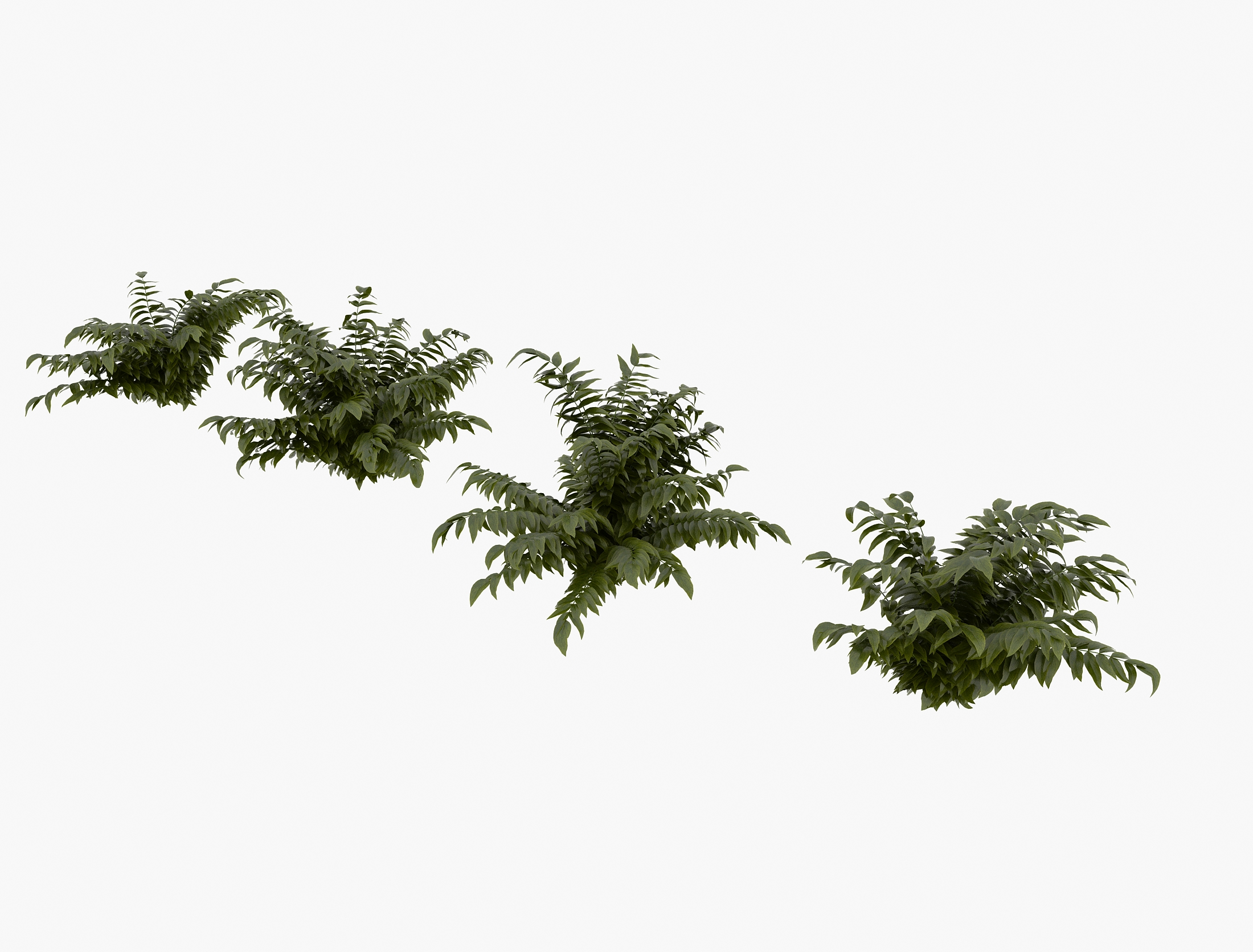 Realistic Garden Bushes by nhattuankts | 3DOcean