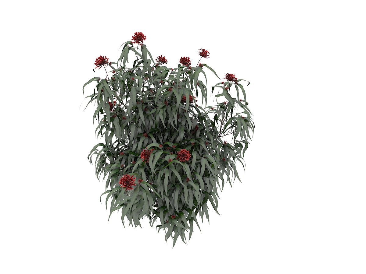 Realistic Garden Bushes 3 by nhattuankts | 3DOcean