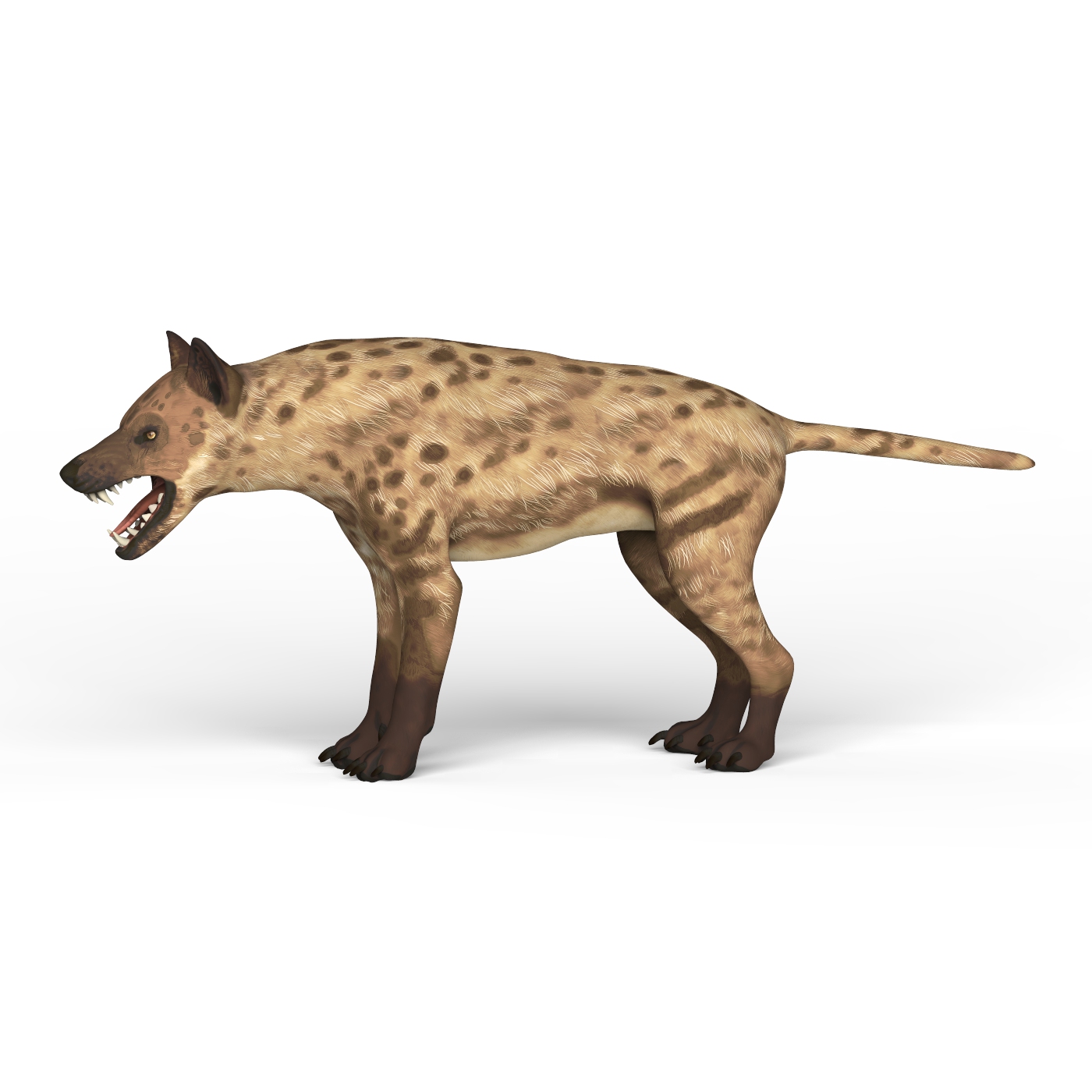 Monster Dog by cghriggs | 3DOcean