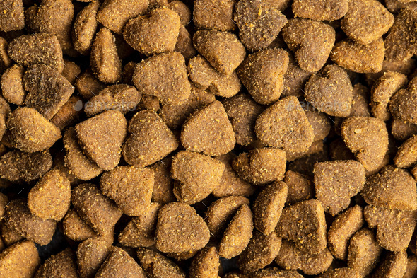 Dried kibble pet food. Heart shape dried animal food. Stock Photo by ...