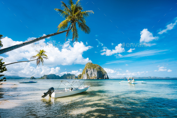 Exotic tropical seascape with palm tree, jetty pier, boats, blue sky ...