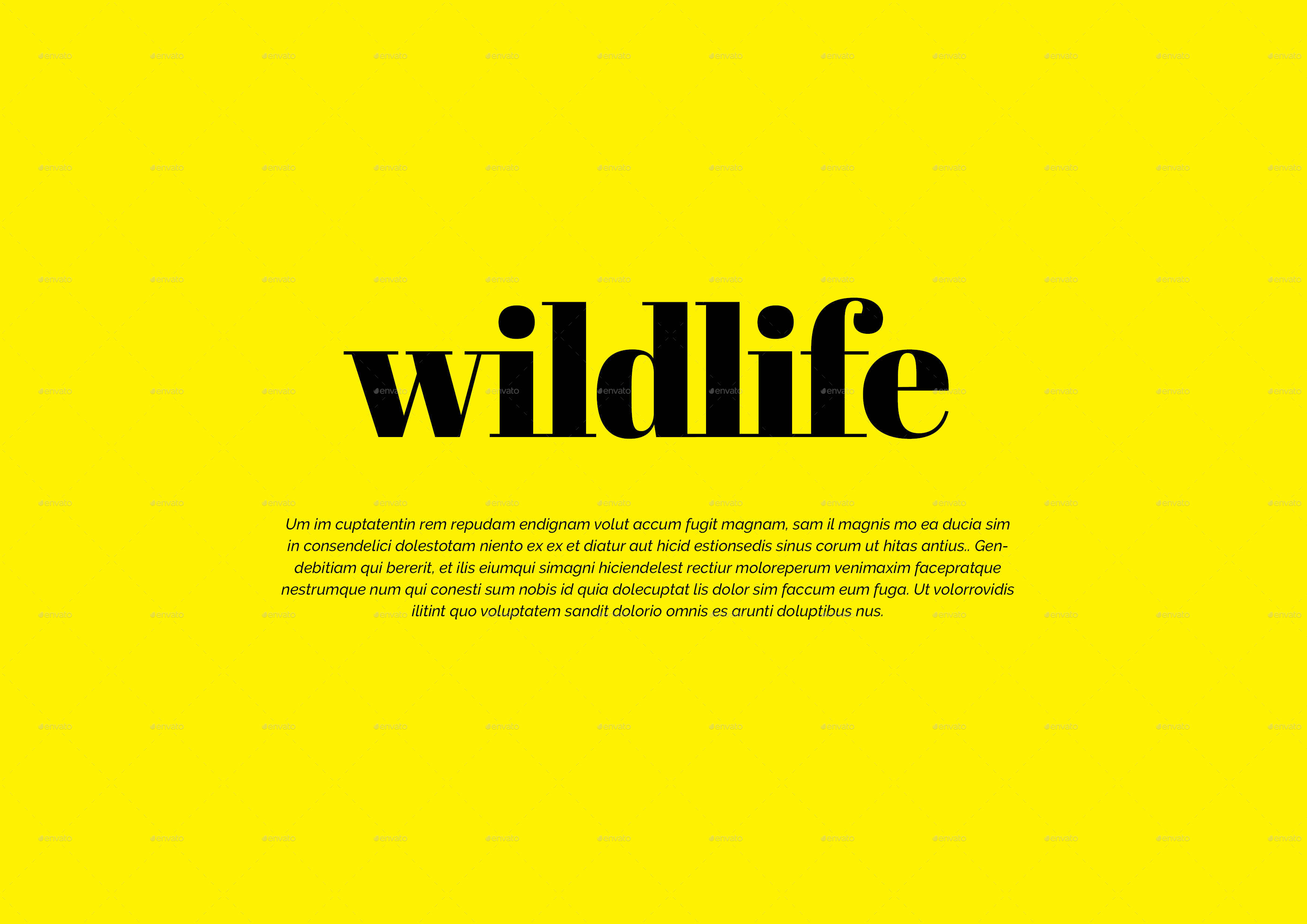 Wildlife Magazine Template, Print Templates | GraphicRiver