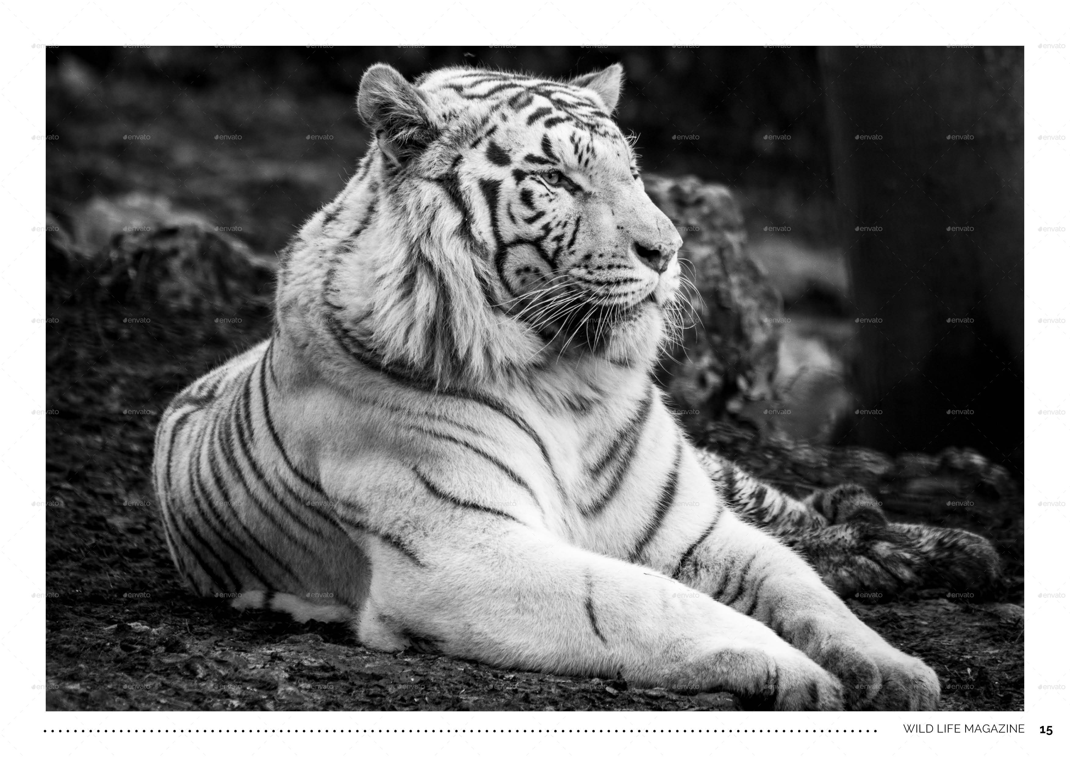 Wildlife Magazine Template, Print Templates | GraphicRiver