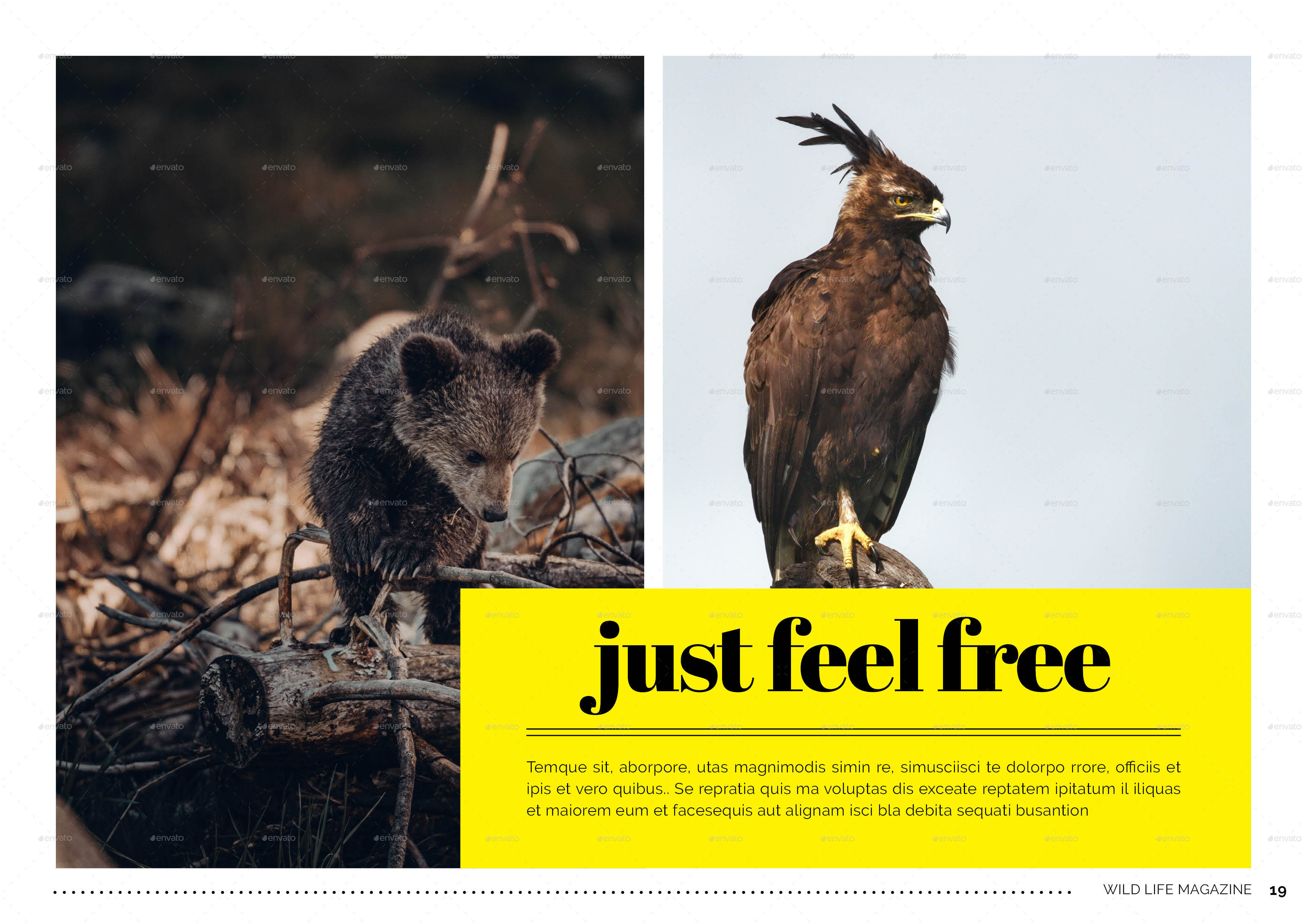 Wildlife Magazine Template, Print Templates | GraphicRiver