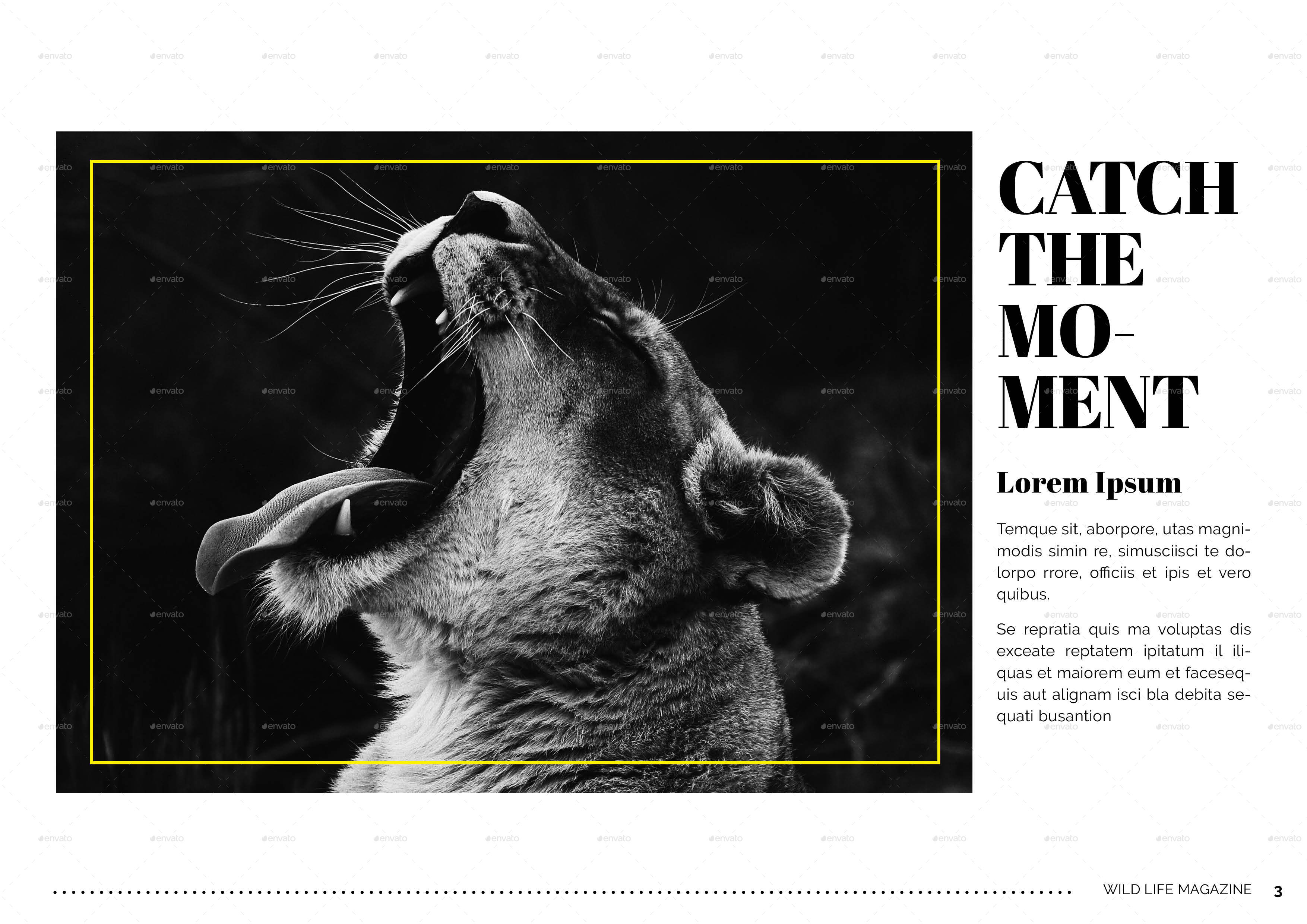 Wildlife Magazine Template, Print Templates | GraphicRiver