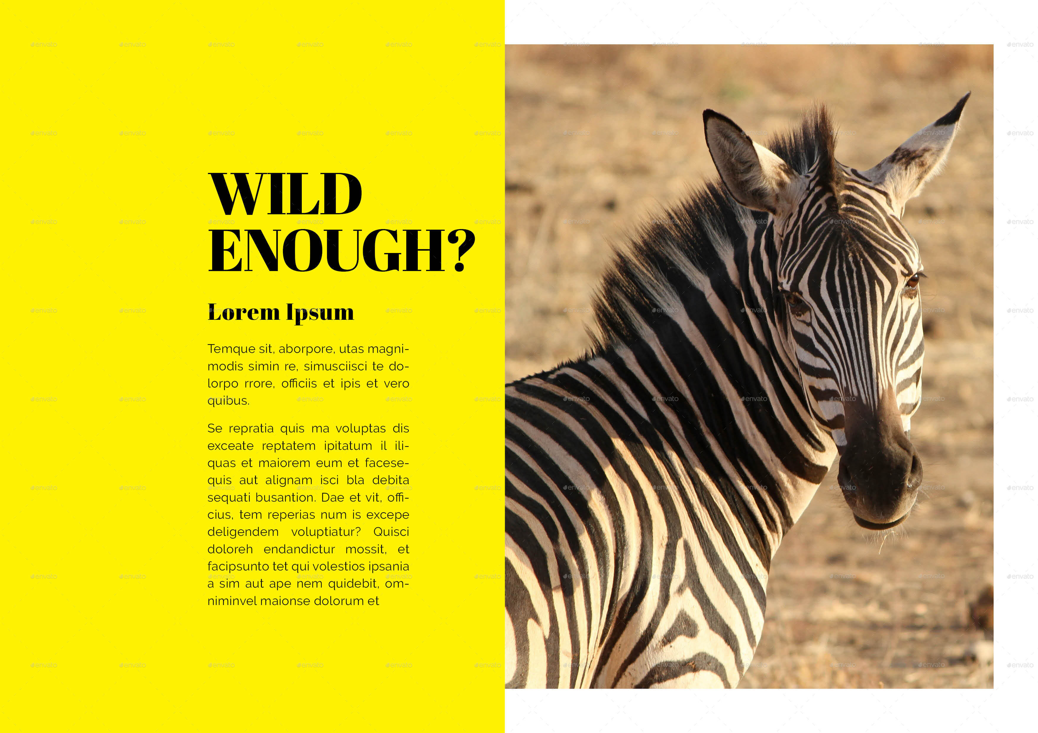 Wildlife Magazine Template, Print Templates | GraphicRiver