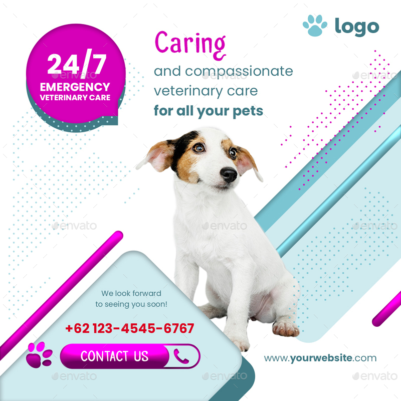 Pet Care Social Media Post template, Web Elements | GraphicRiver