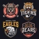 Colorful Vintage Sports Teams Logos Set, Vectors | GraphicRiver
