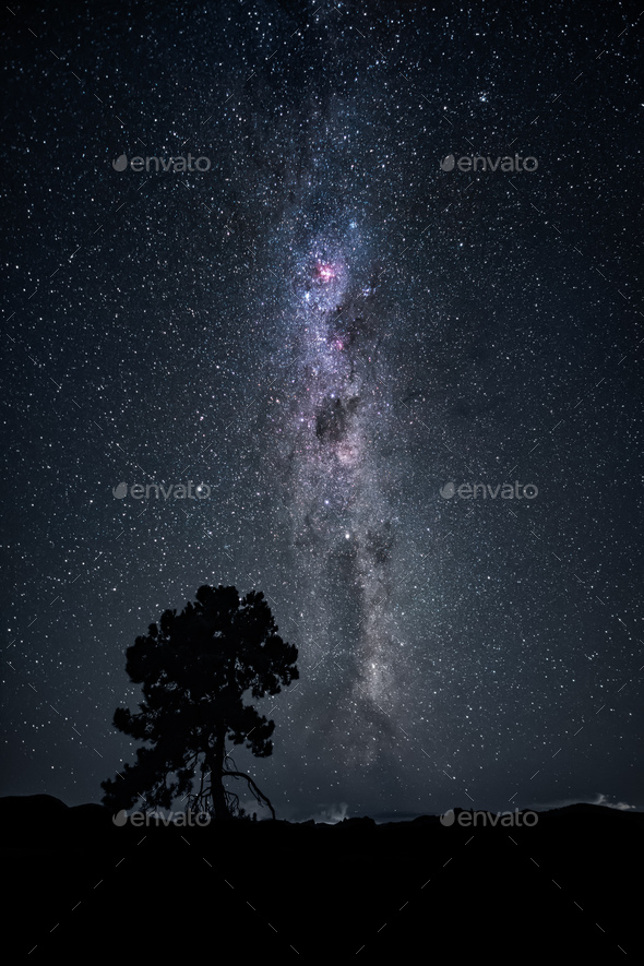 tree under the milky way night sky New Zealand February Stock Photo by ...