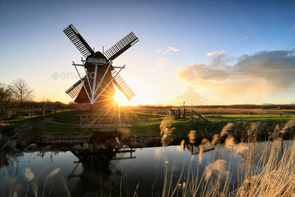 golden sunshine behind windmill in spring Stock Photo by catolla ...