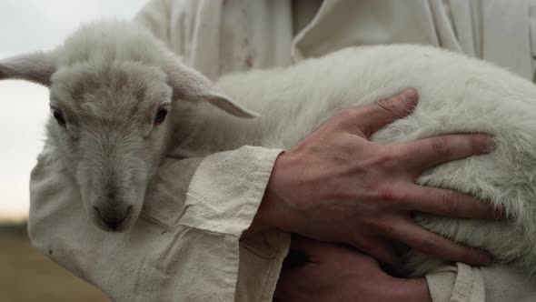 Shepherd Holding Sheep, Stock Footage | VideoHive