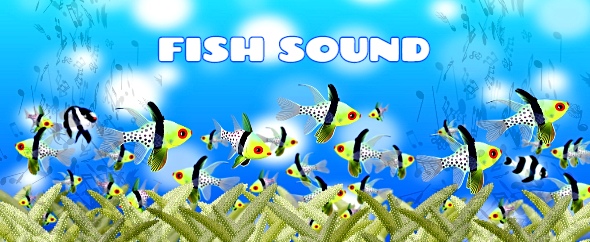 fishsound's profile on ThemeForest