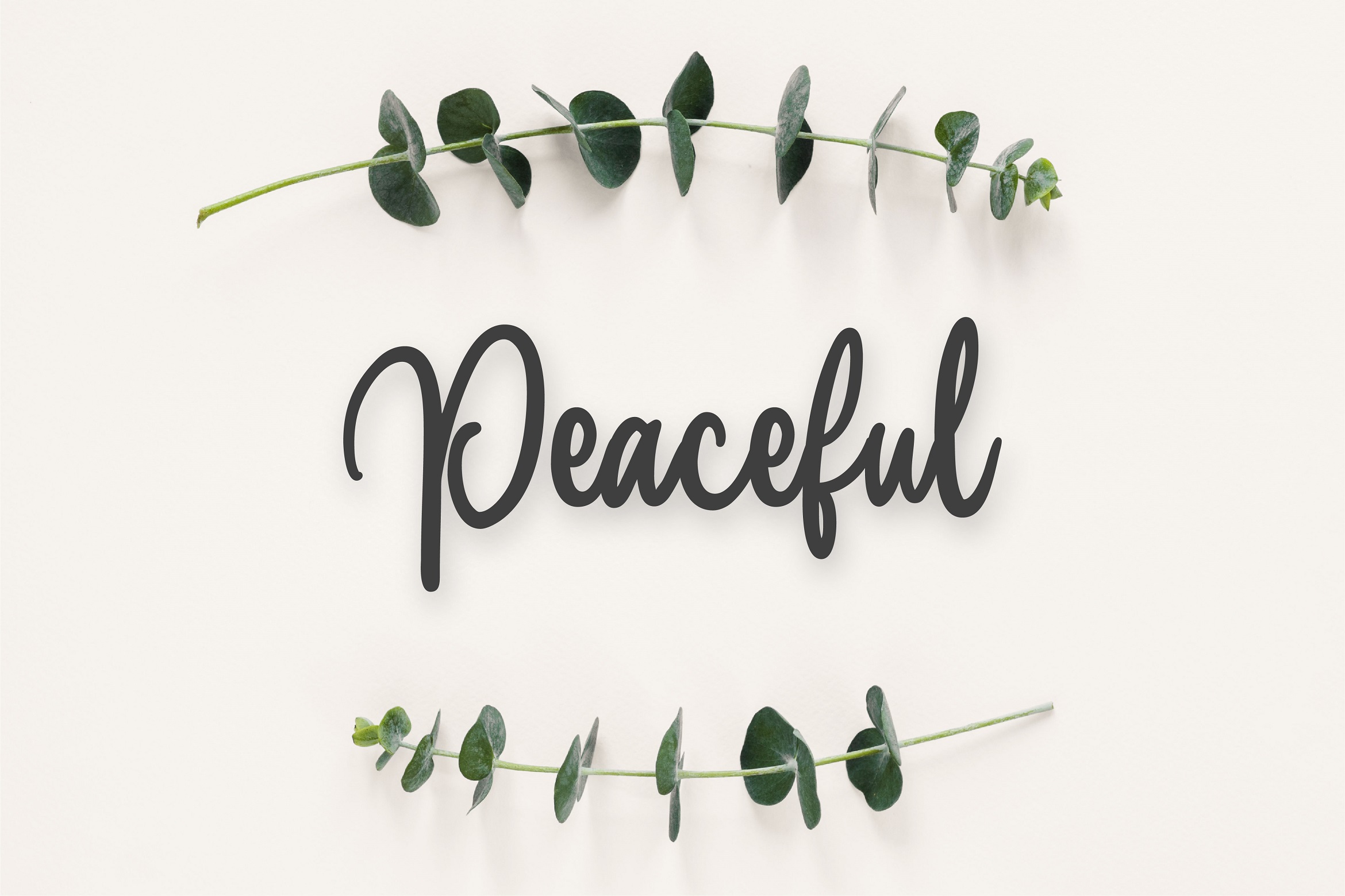 Claston Script, Fonts | GraphicRiver