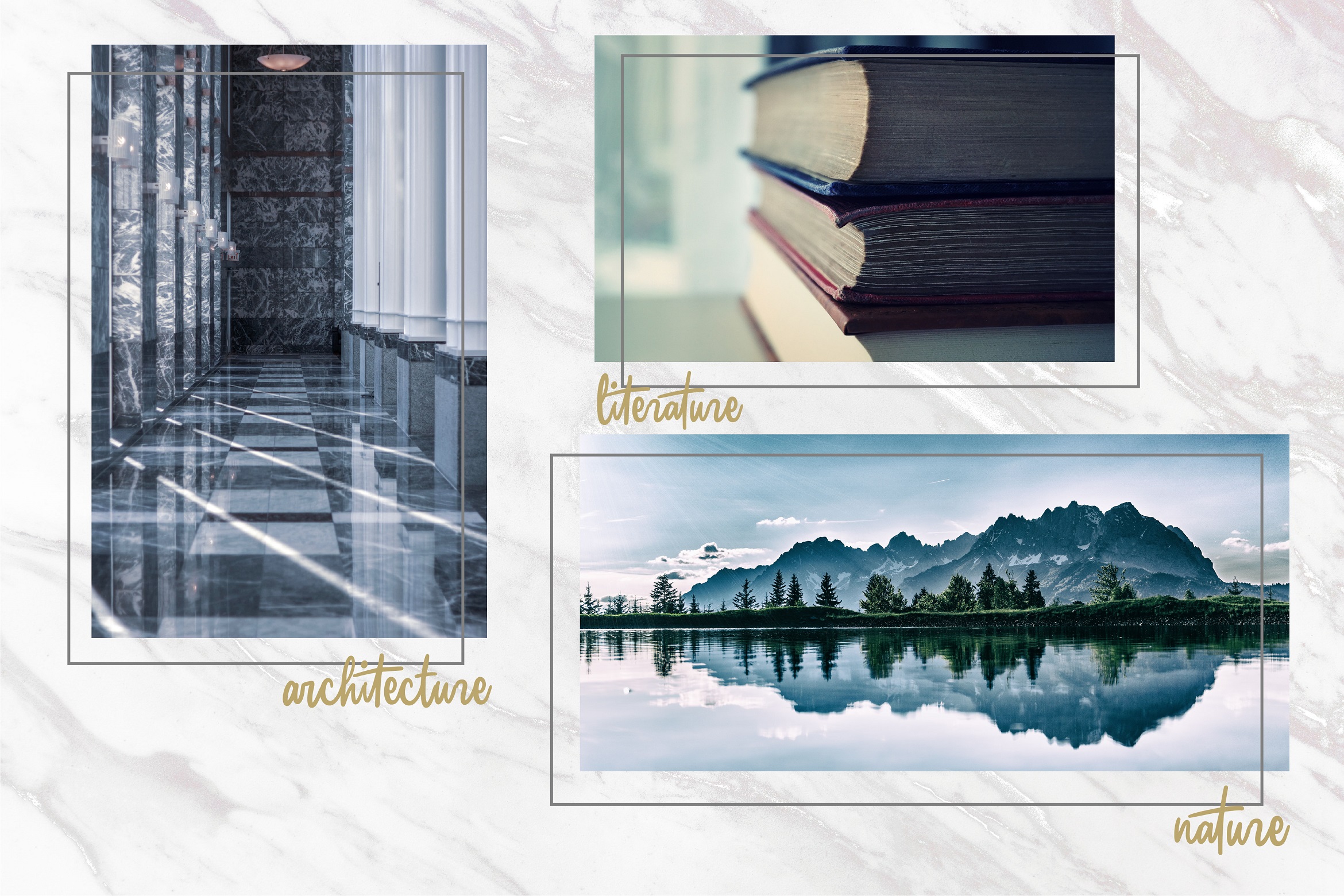 Claston Script, Fonts | GraphicRiver