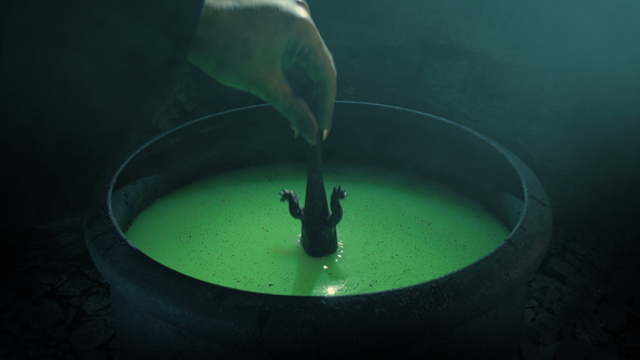 Witch Puts Lizard Into Smoky Cauldron, Stock Footage | VideoHive