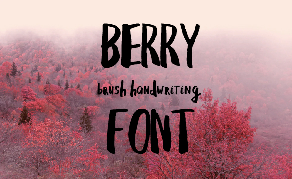Berry Brush Handwriting Font. Brush Textured Sans Serif Font, Fonts