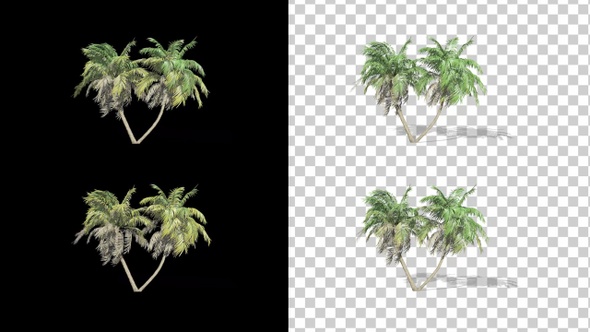 4 Seasons Tree Animation V3, Motion Graphics | VideoHive