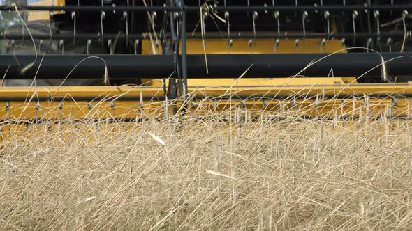 Combine Harvester Working on Organic Rye Field, Stock Footage | VideoHive