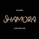 Shamora Brush Font, Fonts | GraphicRiver