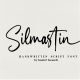 Silmastin, Fonts | GraphicRiver